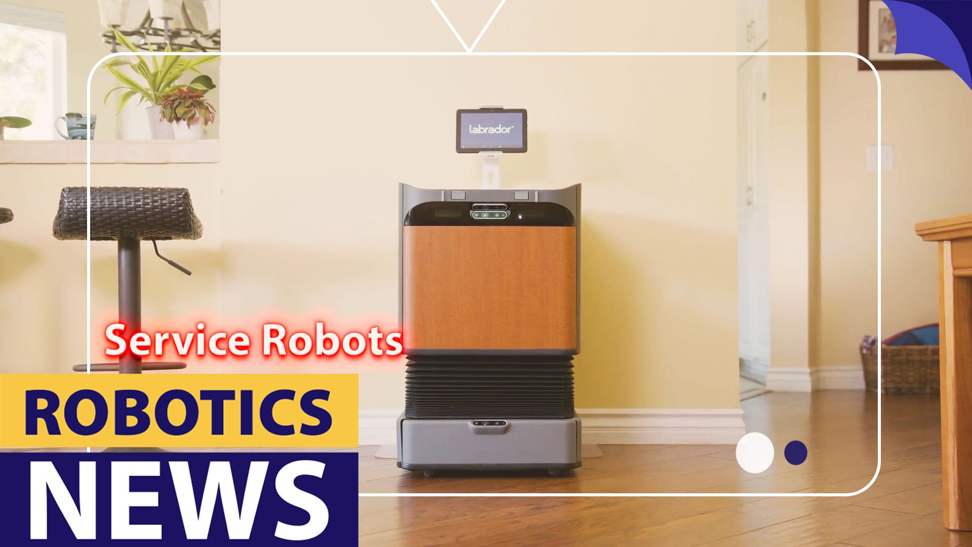 Labrador Retriever Robot: an Assistive Robot for Elderly | Mecharithm