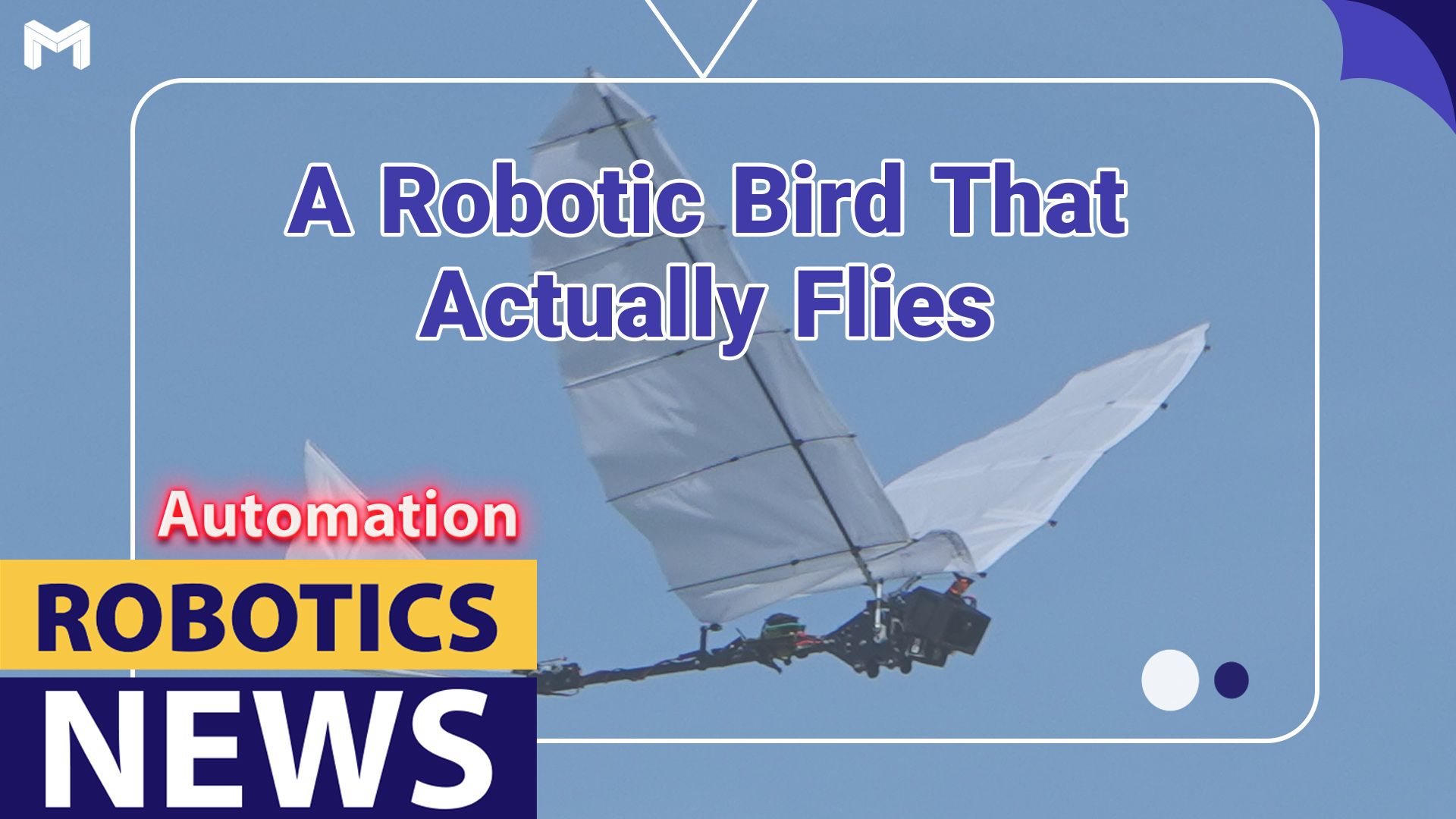 A Robotic Bird That Actually Flies | Mecharithm